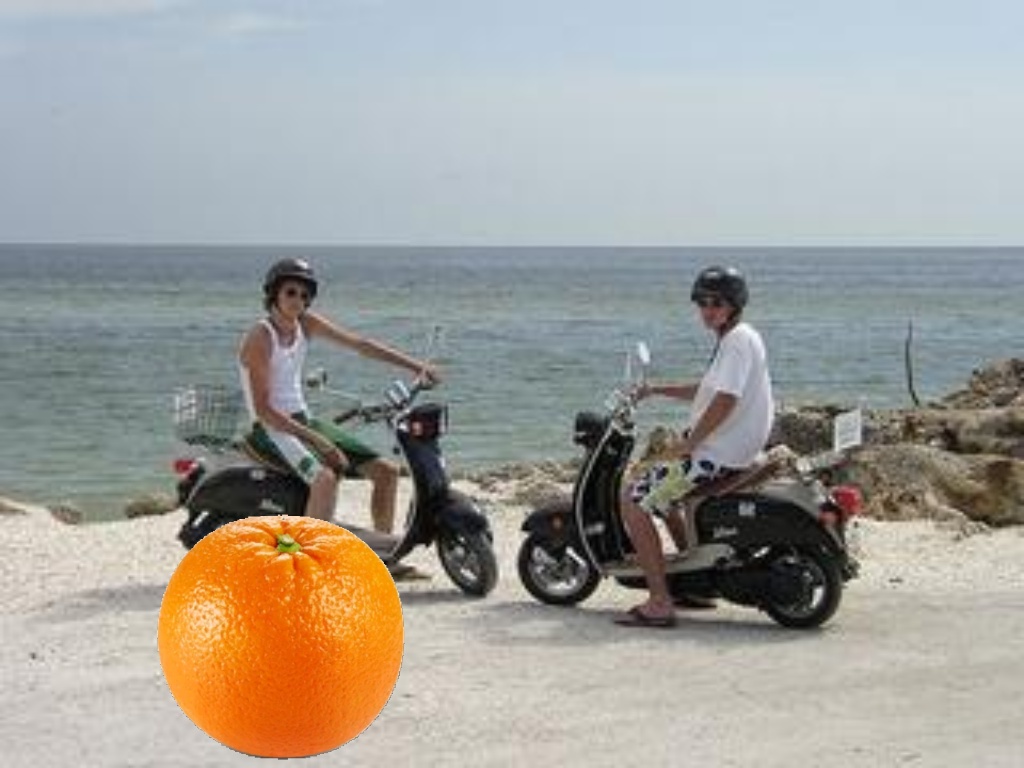 Orange Object Detection Dataset by SRM university