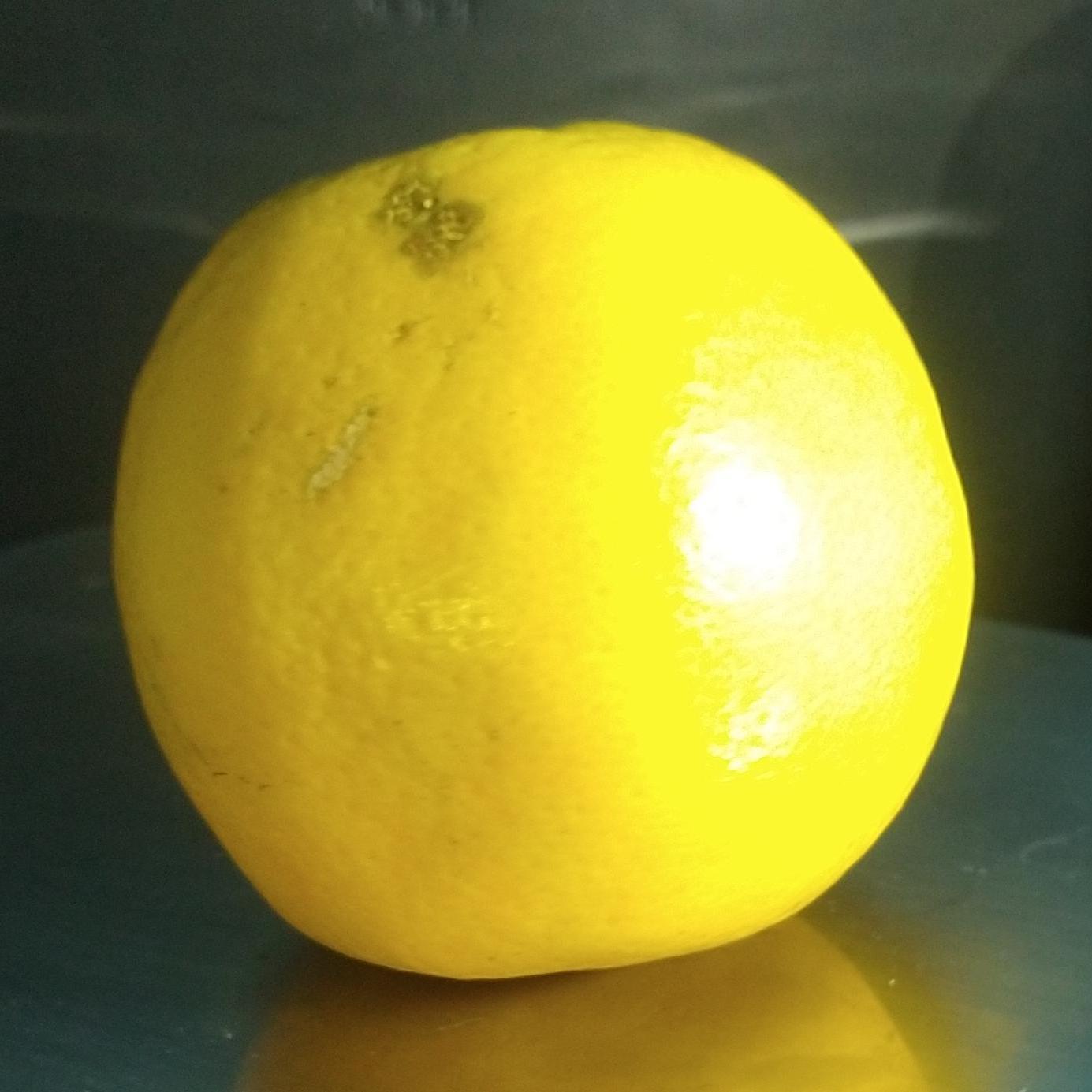 Quality Citrus Classification Classification Dataset and Pre-Trained ...