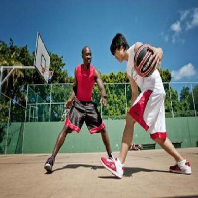 Cv Object Detection Dataset And Pre Trained Model By Cv