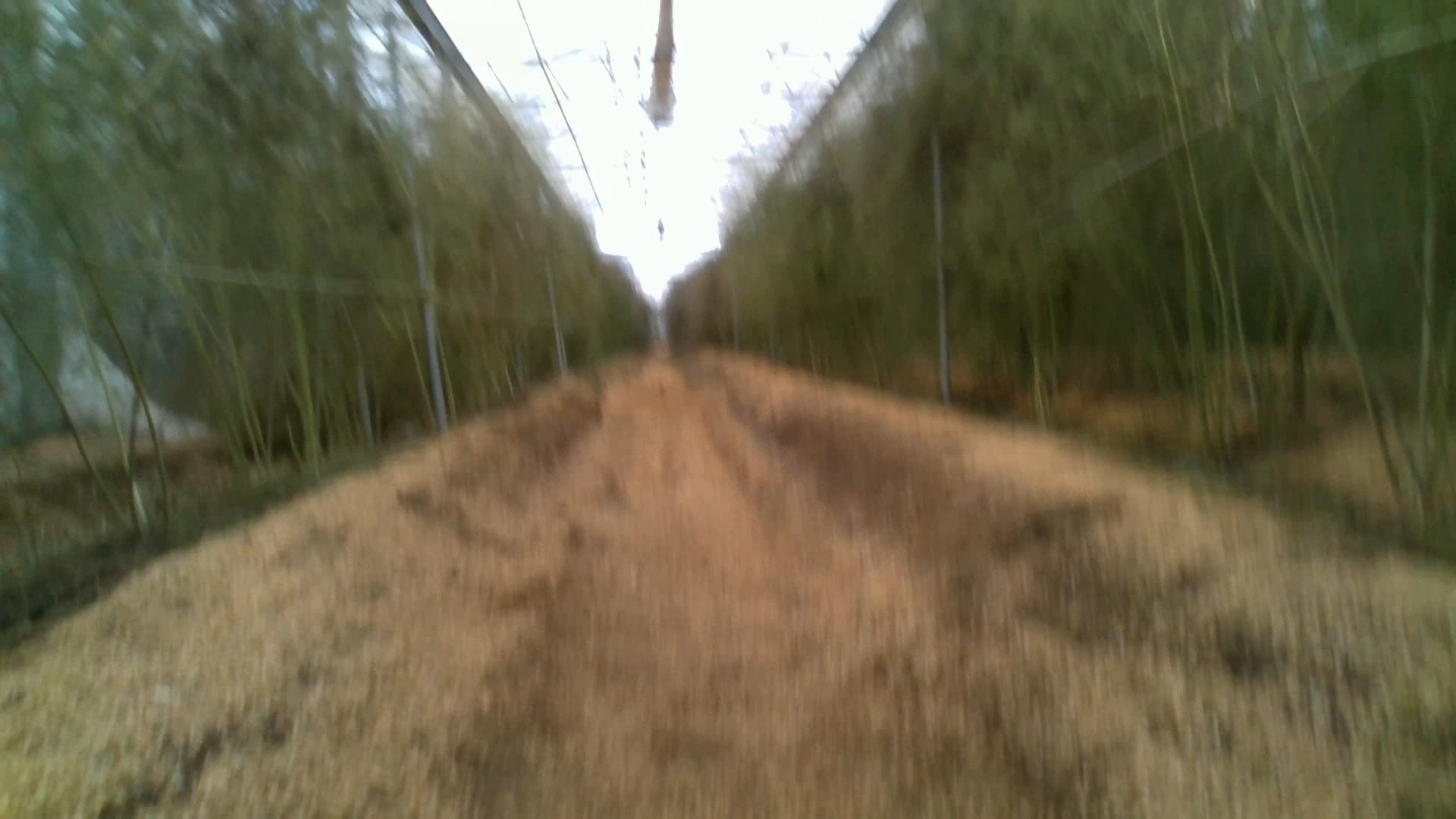 Test Instance Segmentation Dataset By Yolov5segtest