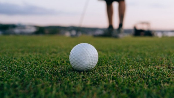 How to Use the Ball Object Detection API