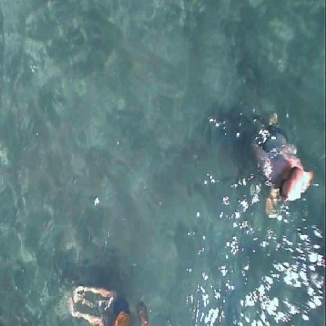 Drowning Detect Merge Object Detection Dataset And Pre Trained Model By Team Burraq