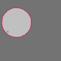 hela_PSB_seg Instance Segmentation Dataset by scratch