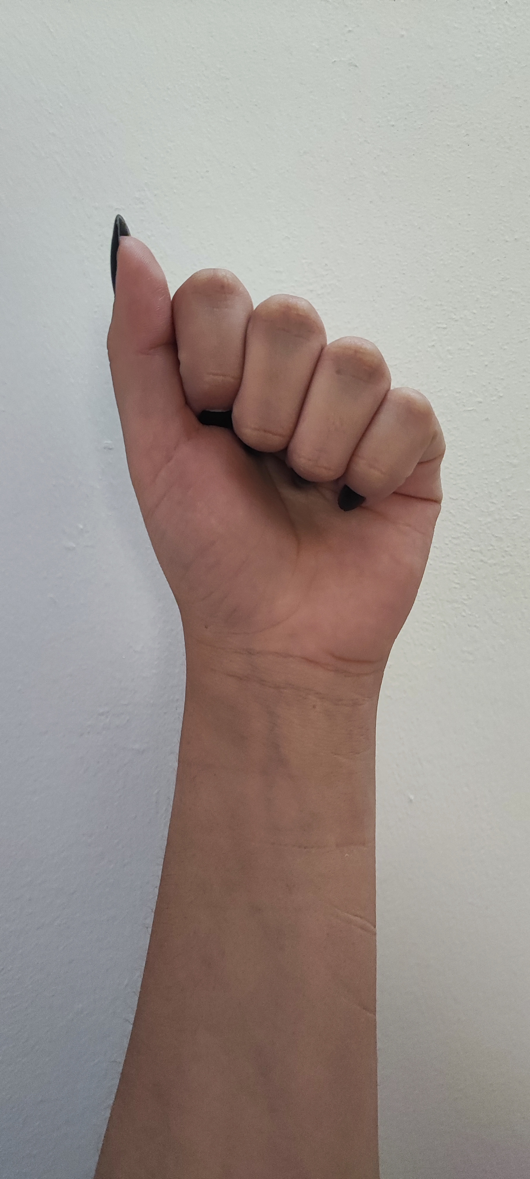 How to Use the Lenguaje de Senas Object Detection API