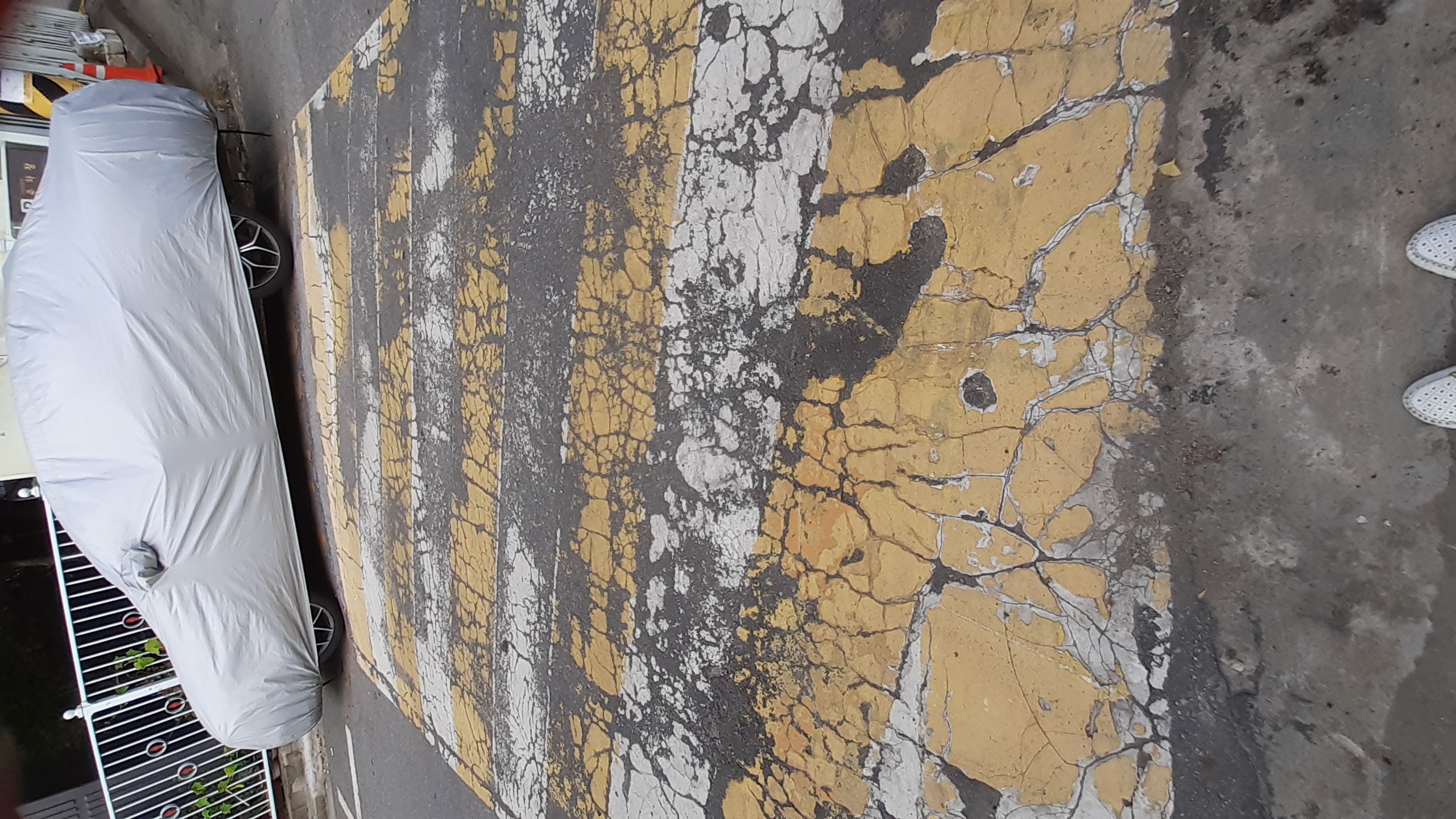 speed_bump Instance Segmentation Dataset by daeun