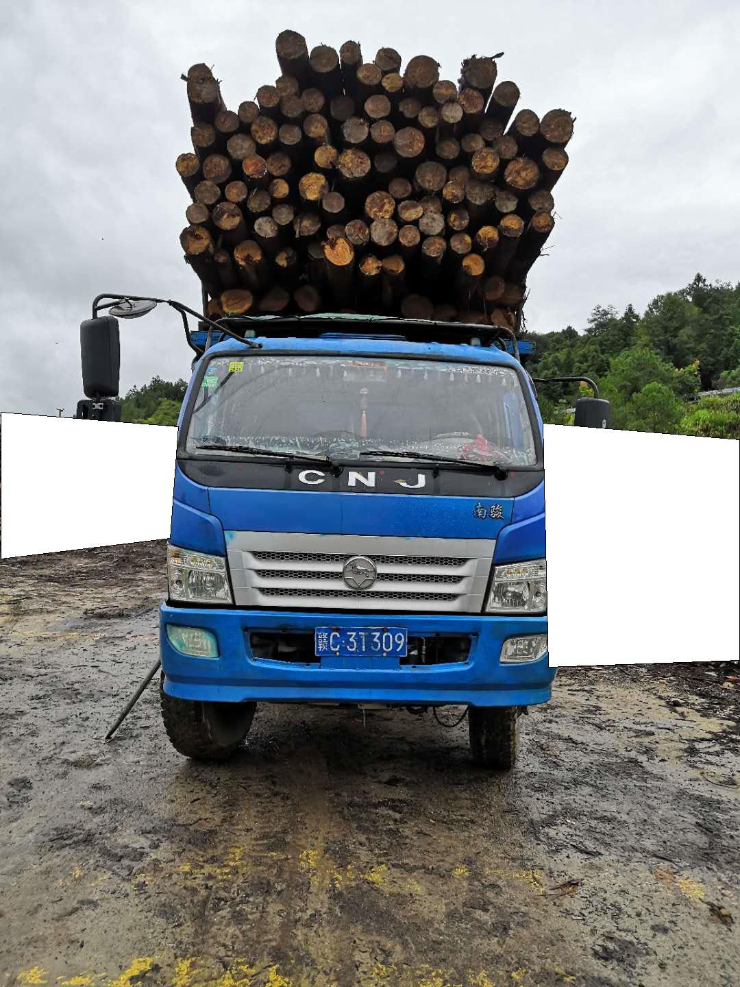 wood Instance Segmentation Dataset and Pre-Trained Model by fjut