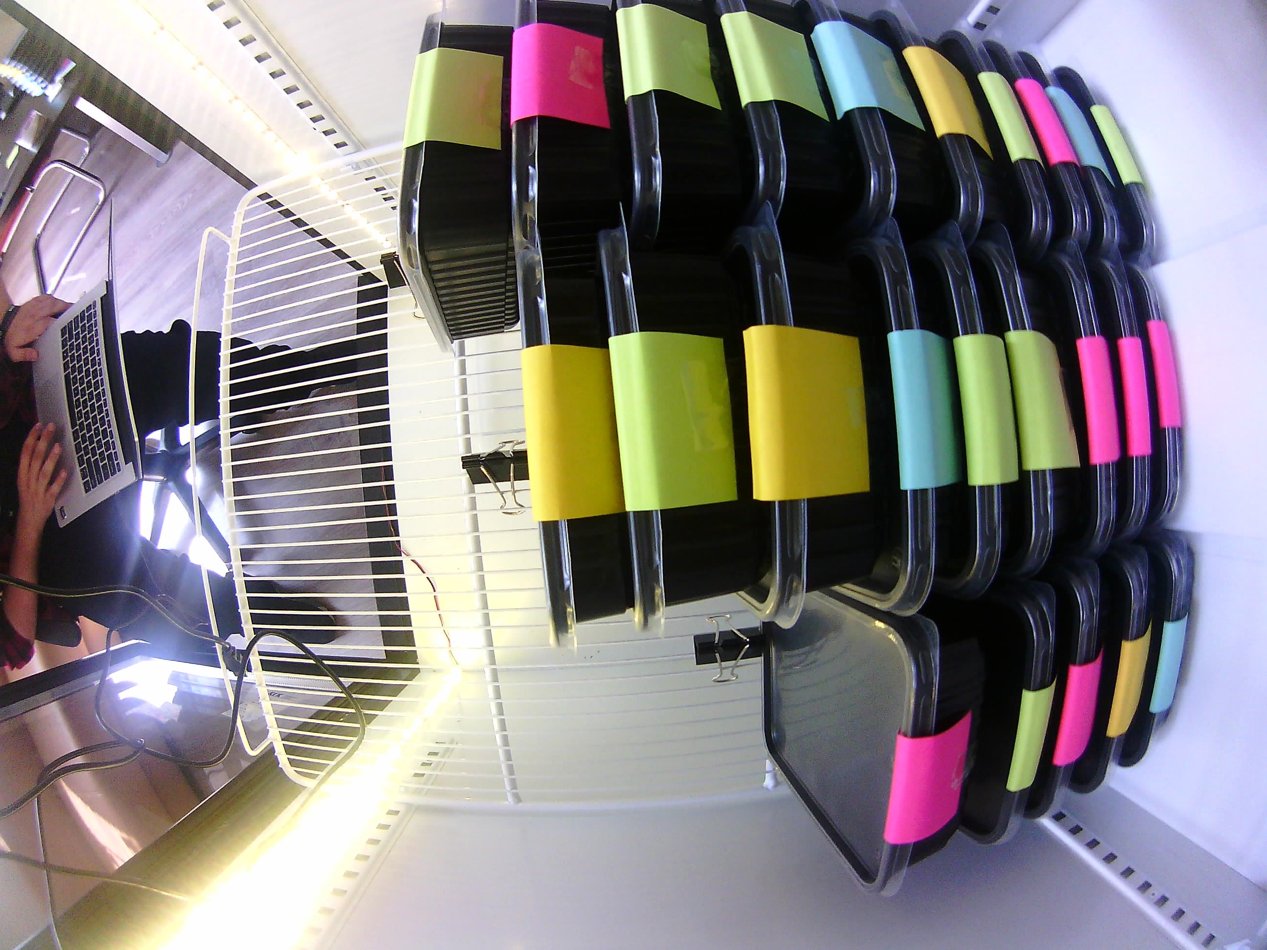 stickers Object Detection Dataset by Mikhail Pavlov