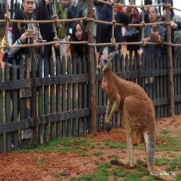 Custom Dataset Object Detection Dataset by Leo Vila