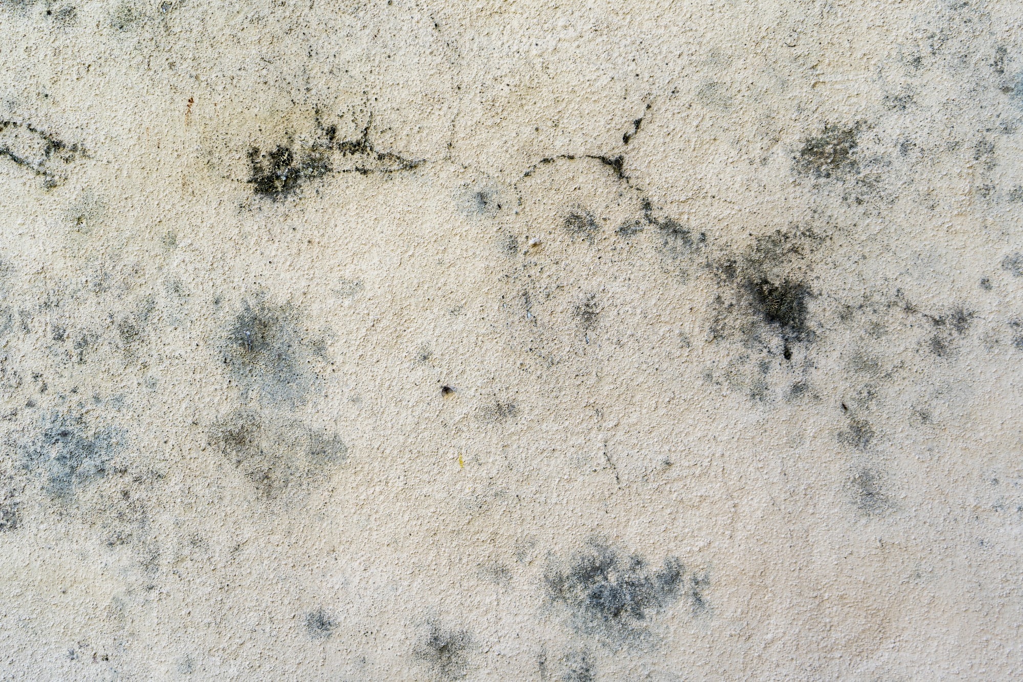 wall_deterioration Object Detection Dataset by classification