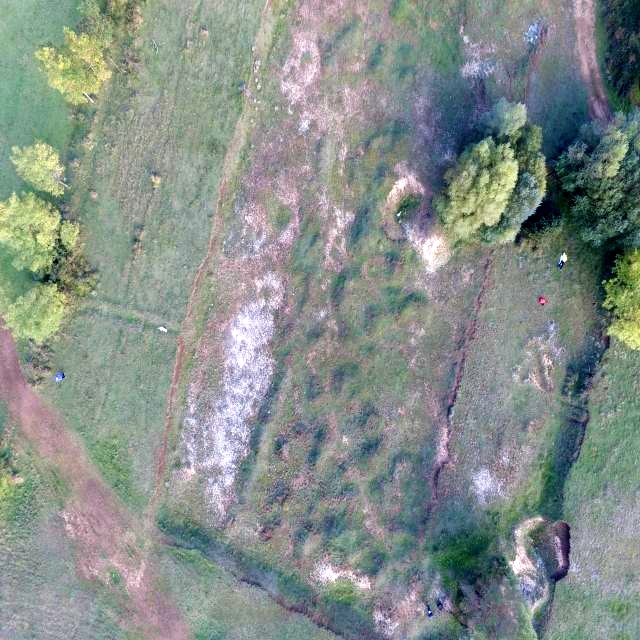 heridals Object Detection Dataset by 1345