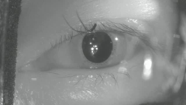 CHENG YAO (cheng-yao-4yswl) - Roboflow Universe