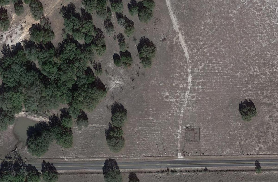 Tree detector Object Detection Dataset and Pre-Trained Model by Project