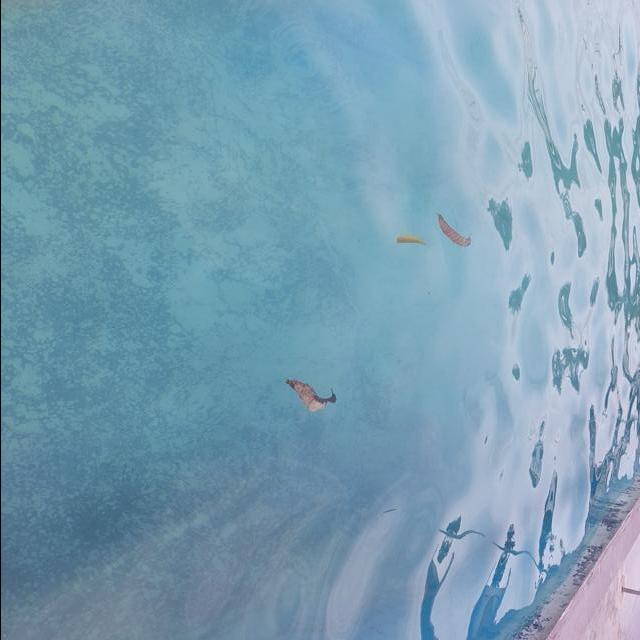 How To Use The Auto Floating Garbage Collector Object Detection Api