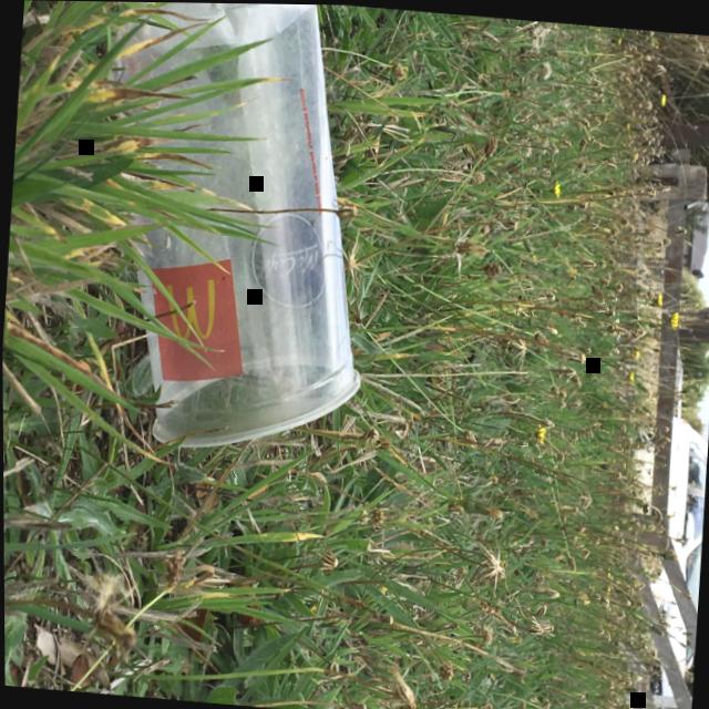 AI Detecting Litter Object Detection Dataset and Pre-Trained Model by MIT sydney