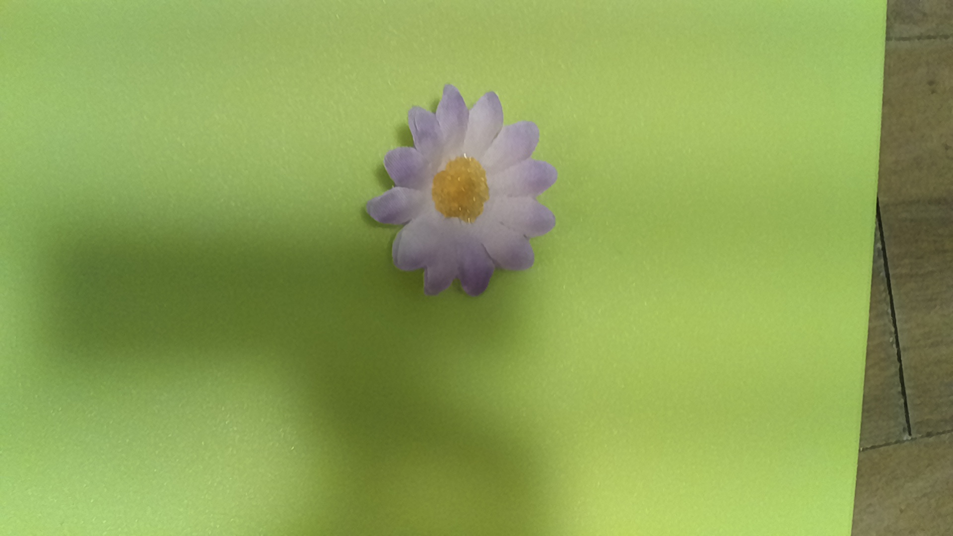 Flower Detection Object Detection Dataset And Pre Trained Model By