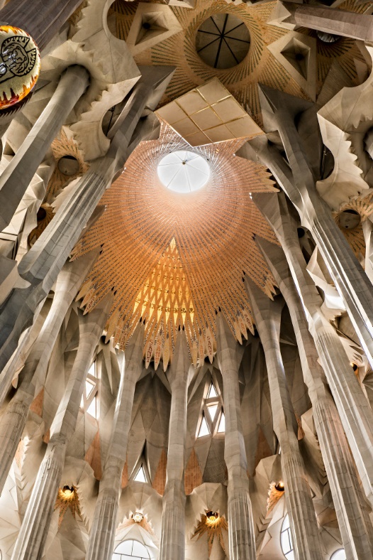 Fatima Syed (fatima-syed-wxaok) - Roboflow Universe