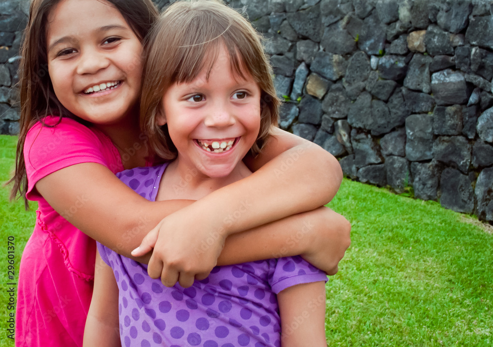 Hug Object Detection Dataset by Merab Zafar