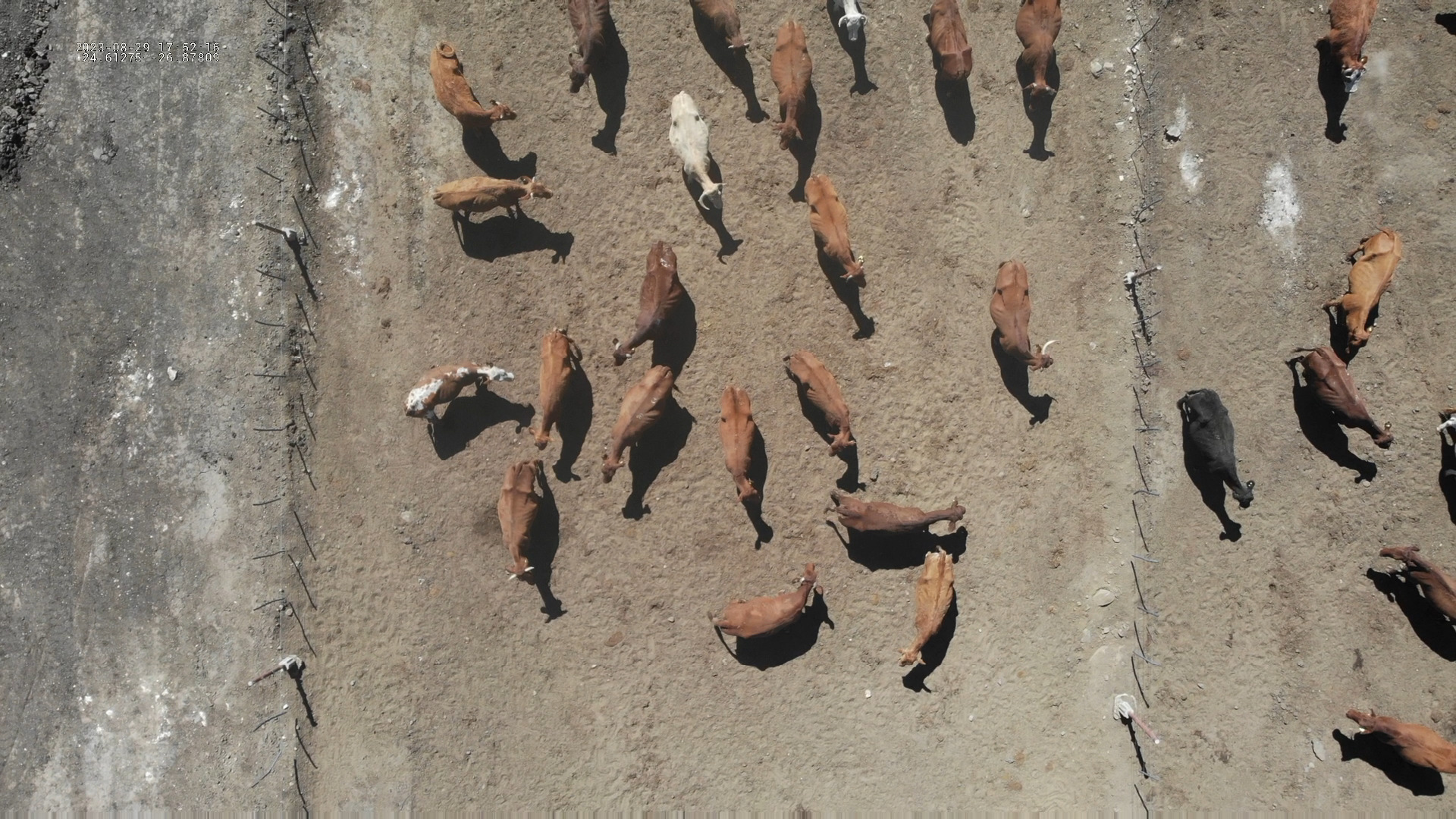 Corral detection Instance Segmentation Dataset and Pre-Trained Model by GuidedogUnitreeGo1