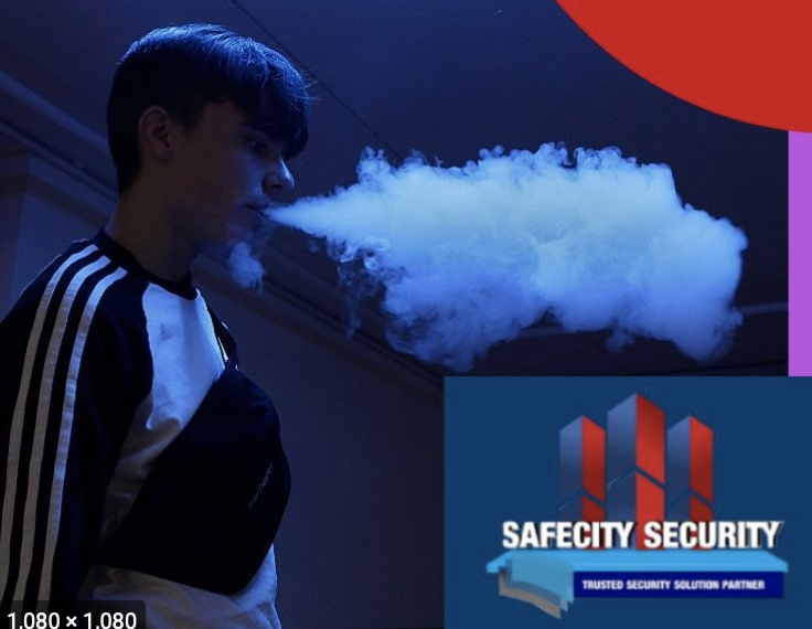 Test Smoke Object Detection Dataset by Michelle Choo