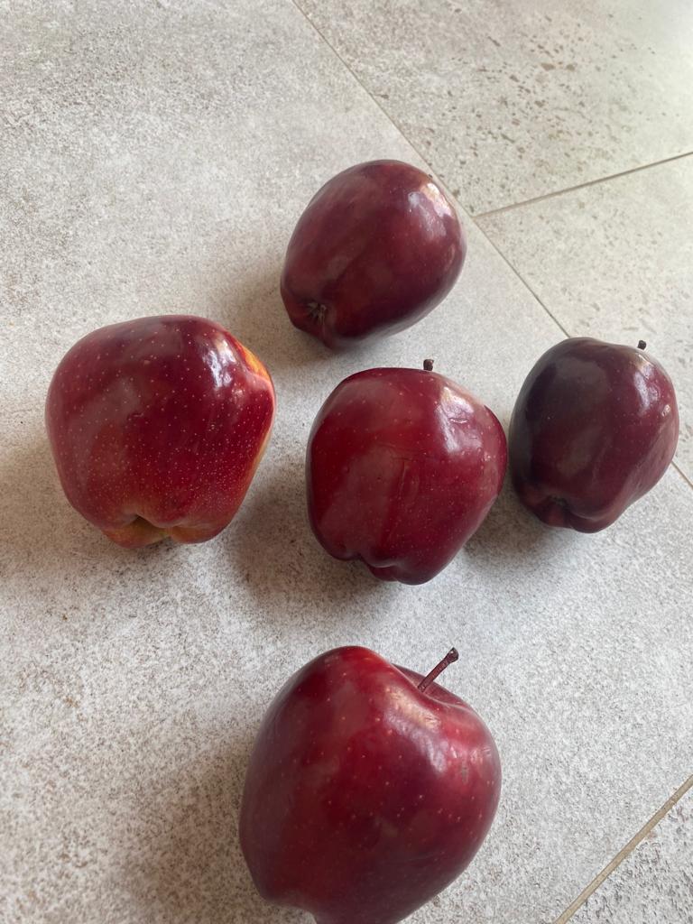 Manzanas Object Detection Dataset by frutas