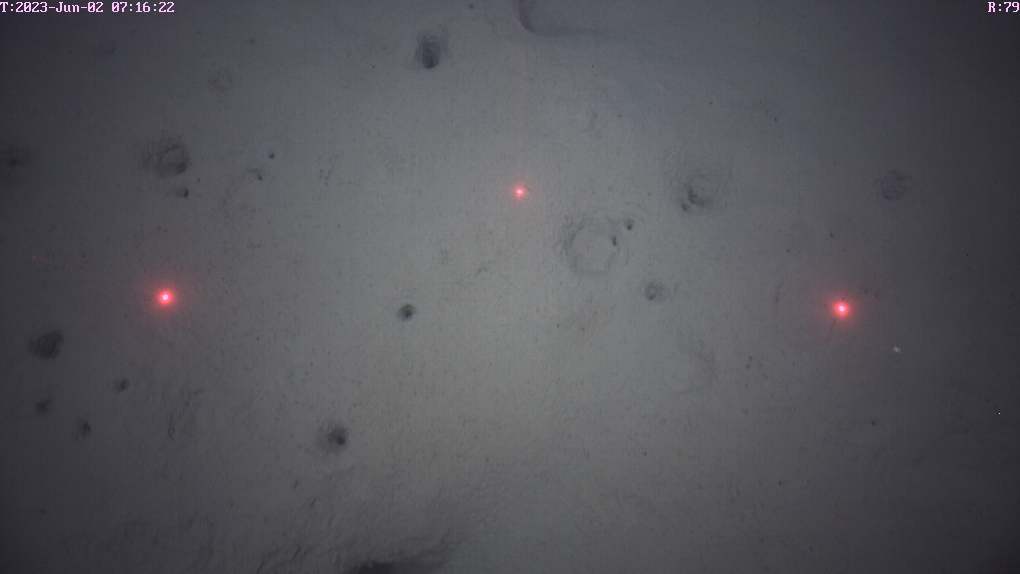 Nephrops burrows 1 Object Detection Dataset and Pre-Trained Model by ...