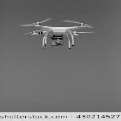 UAV-bird-diff Object Detection Dataset by flippinggreatwodgesofdroneimages1