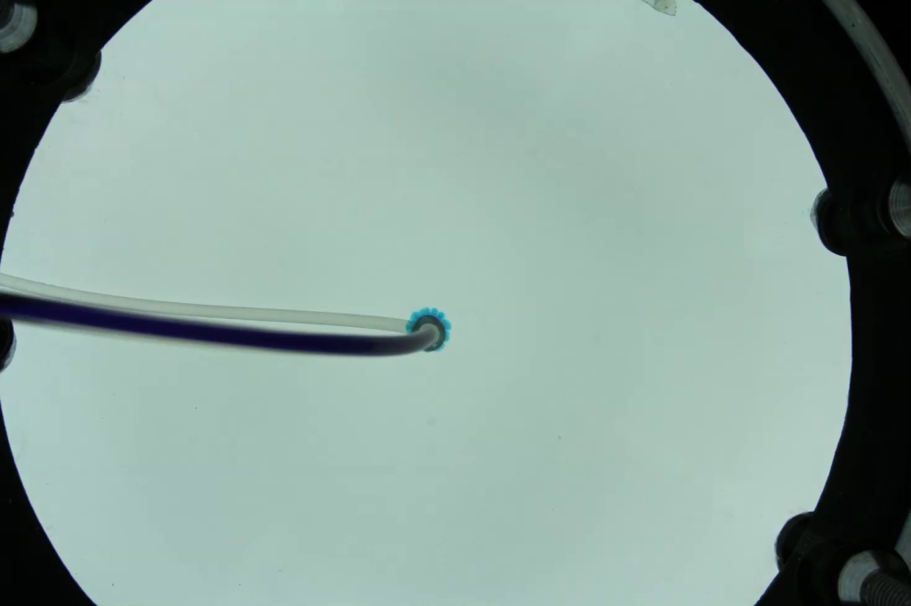 finger_detect Object Detection Dataset by USC