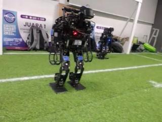 robocup Object Detection Dataset by project-5jwm4