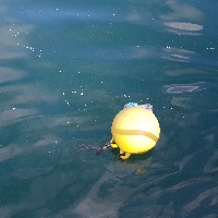 buoy Object Detection Dataset by ai