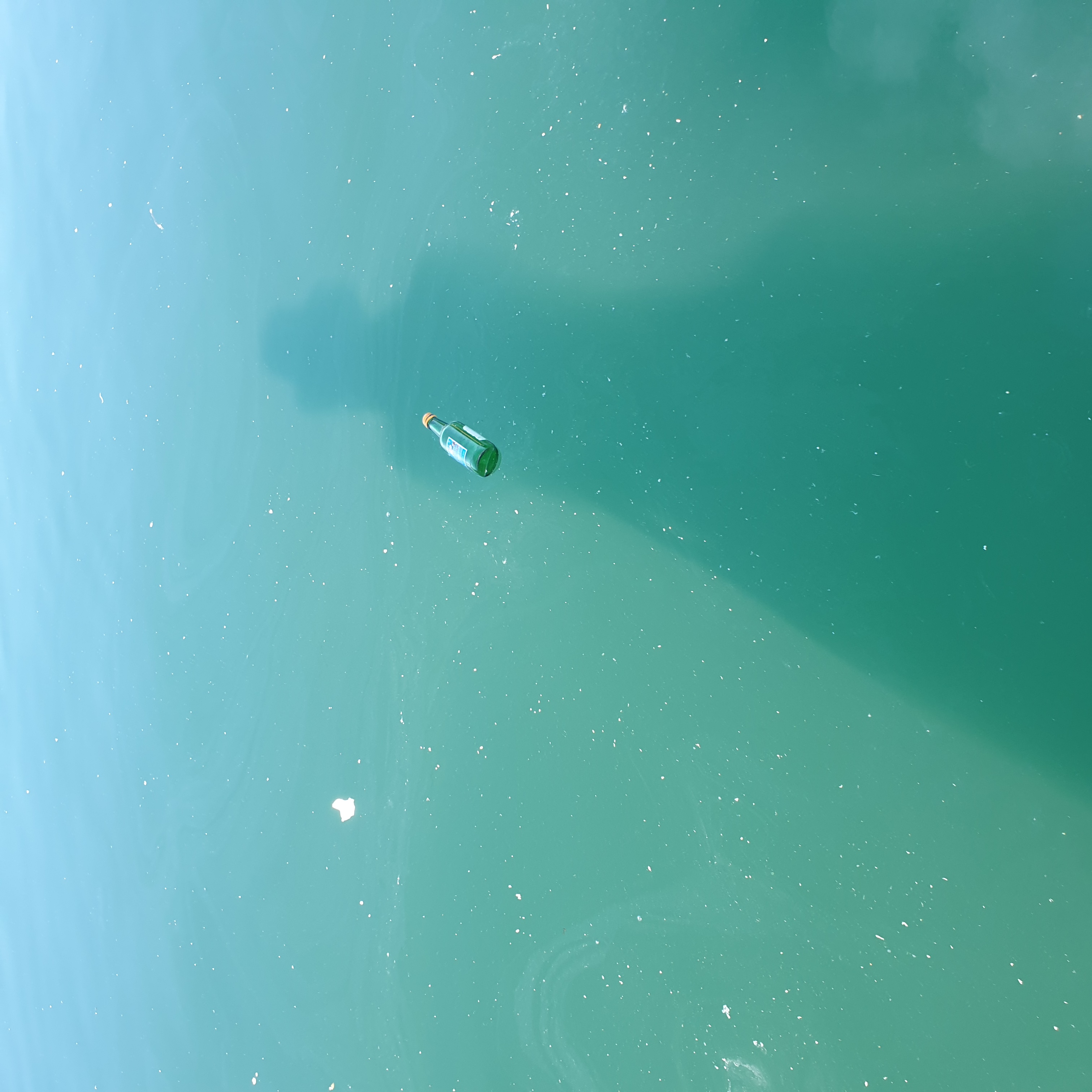 Like Pfefloatingdebris Floating Marine Litter Detection Roboflow