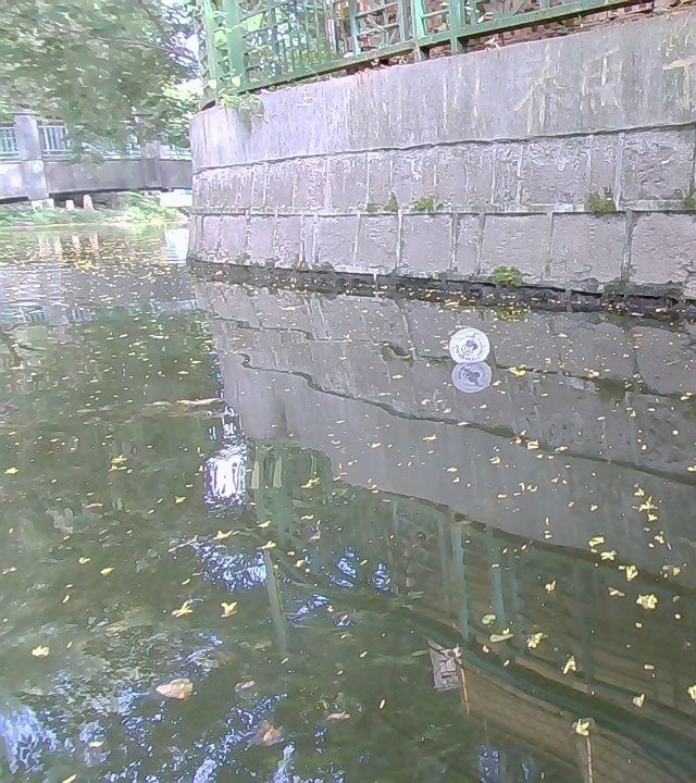 waste detection Object Detection Dataset (v1, 2022-11-24 1:16am) by ...