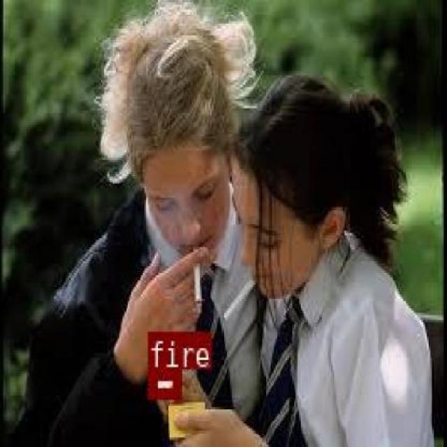 flamecheck Object Detection Dataset and Pre-Trained Model by fire