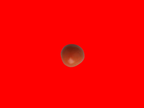 Tomato Object Detection Dataset And Pre Trained Model By Tomato
