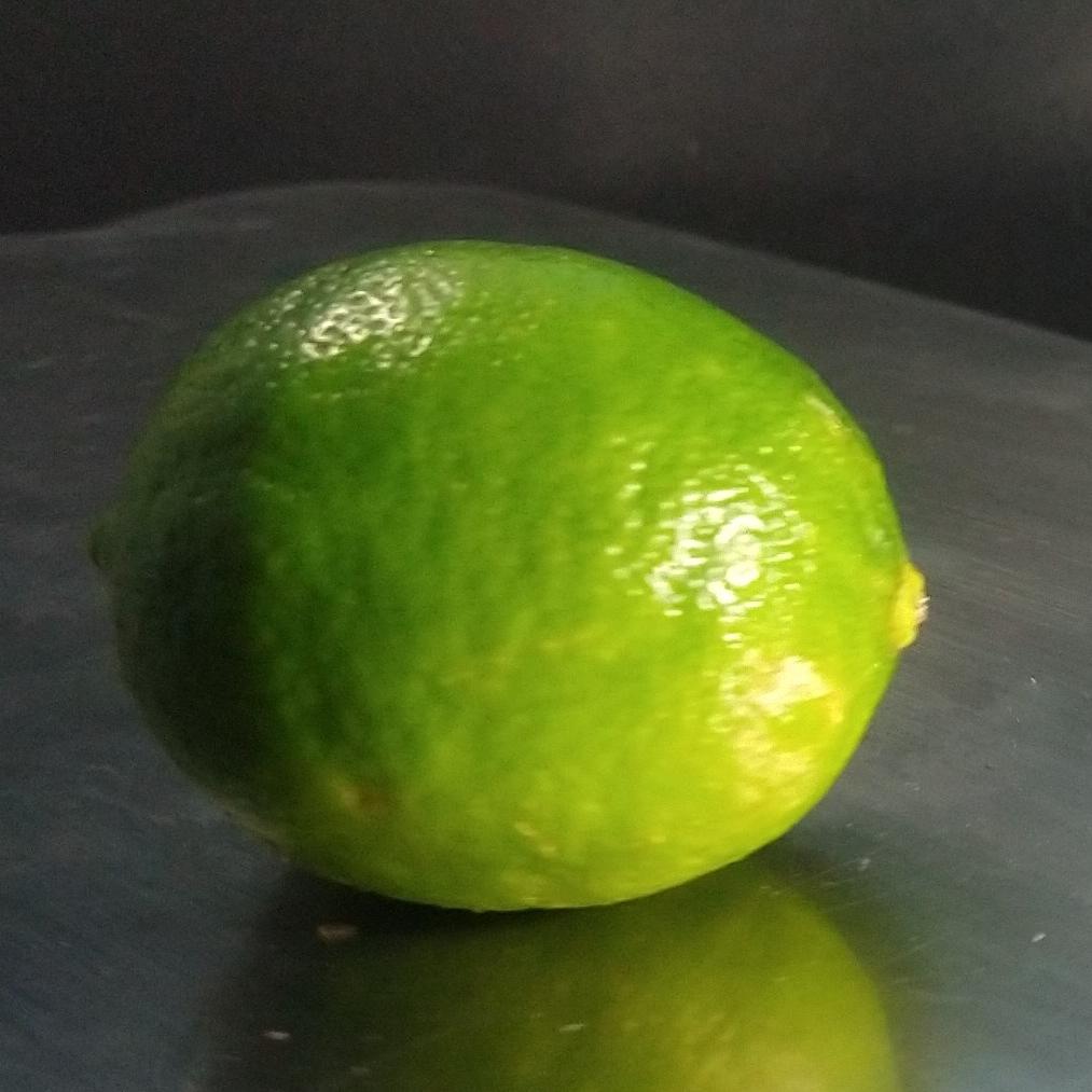 Lemon Object Detection Dataset and Pre-Trained Model by new-workspace-i5j66