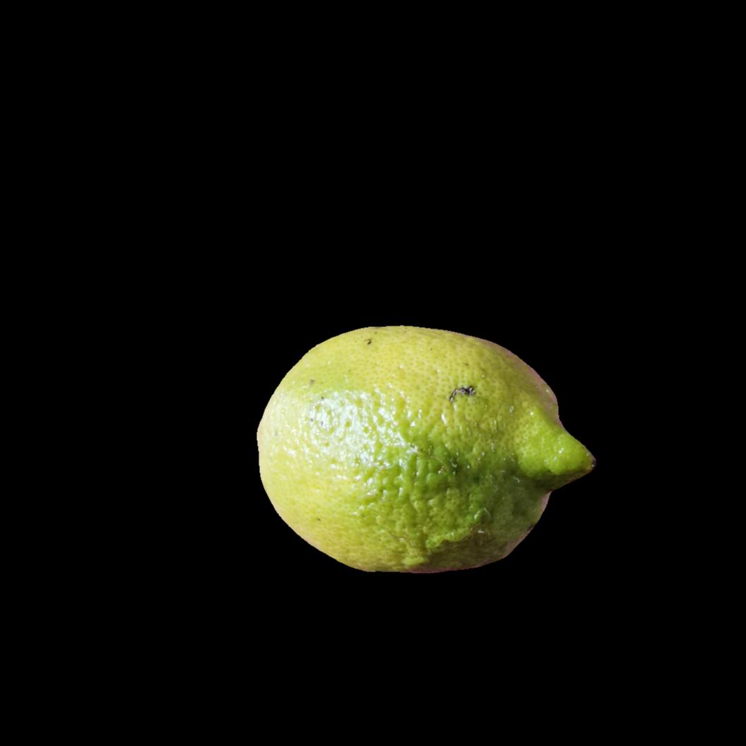 Lemon Detection Object Detection Dataset and Pre-Trained Model by new-workspace-i5j66