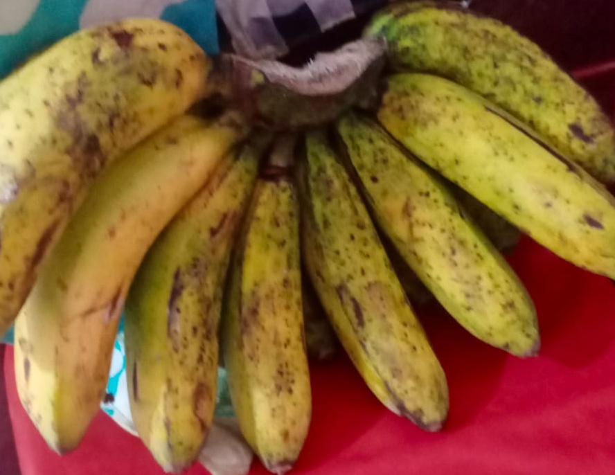 Barangan Banana Ripeness Classification Dataset By Barangan Banana Project