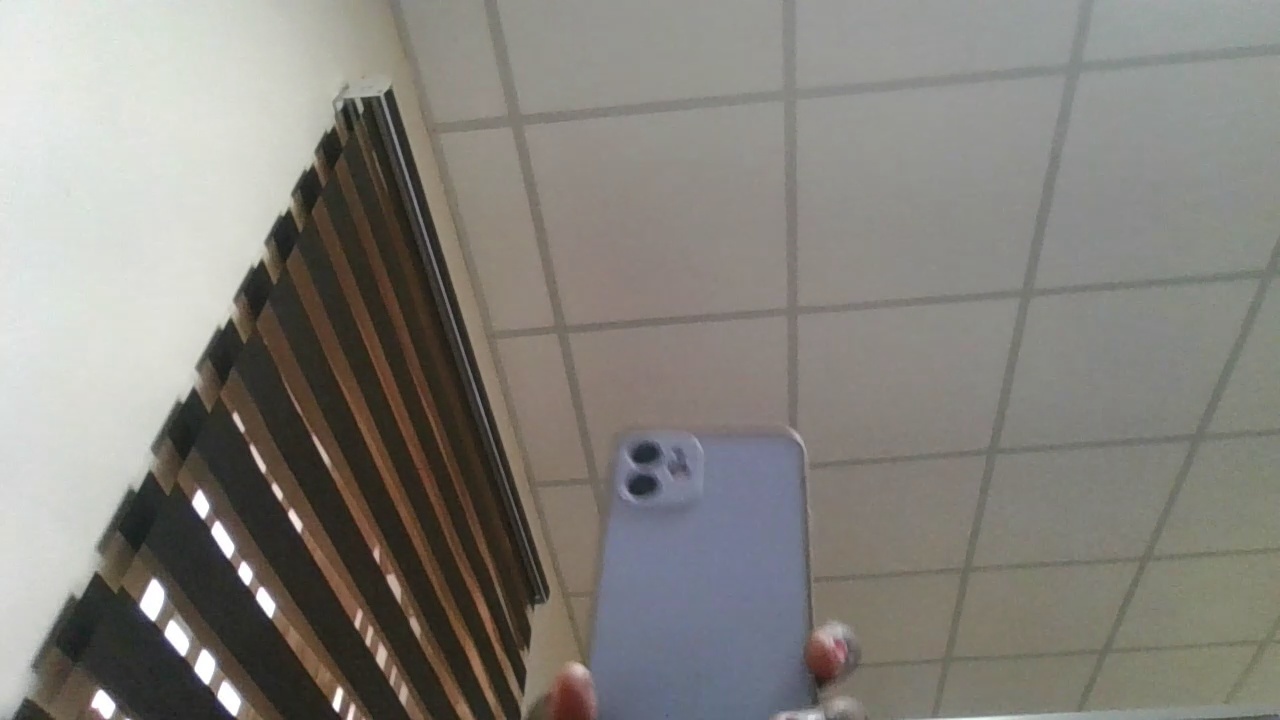 Demo Object Detection Dataset and Pre-Trained Model by Project