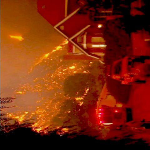 Fire Detection Object Detection Dataset and Pre-Trained Model by Fire Detection