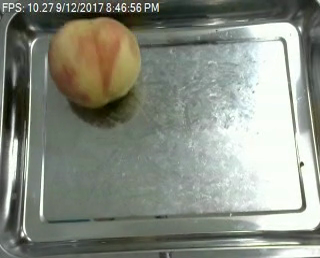 Peach Object Detection Dataset and Pre-Trained Model by VietNam Fruit ...