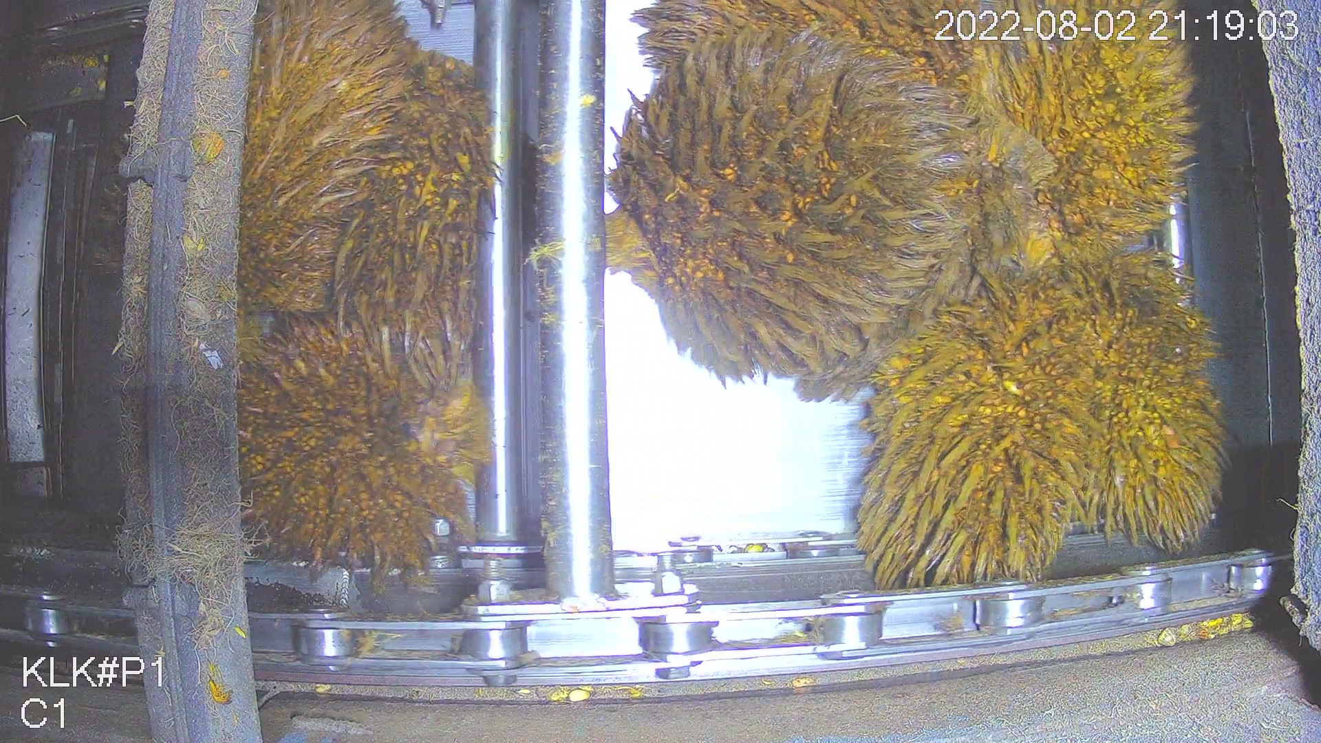 test-kk2 Object Detection Dataset by team