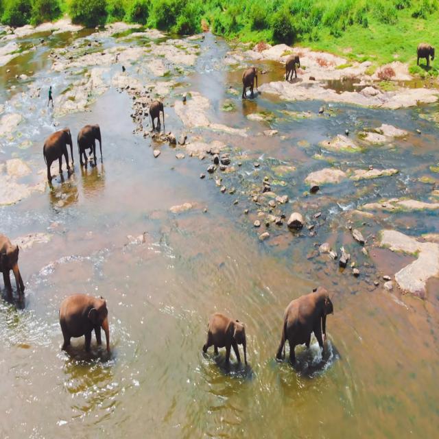 Animal detection 2 Object Detection Dataset by Wild Animals Datasets Animal detection 2 Object Detection Dataset by Wild Animals Datasets