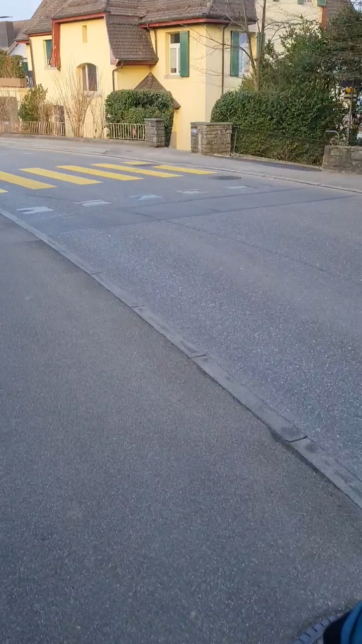 Streets and Crosswalks Object Detection Dataset and Pre-Trained Model by Data Dynamos