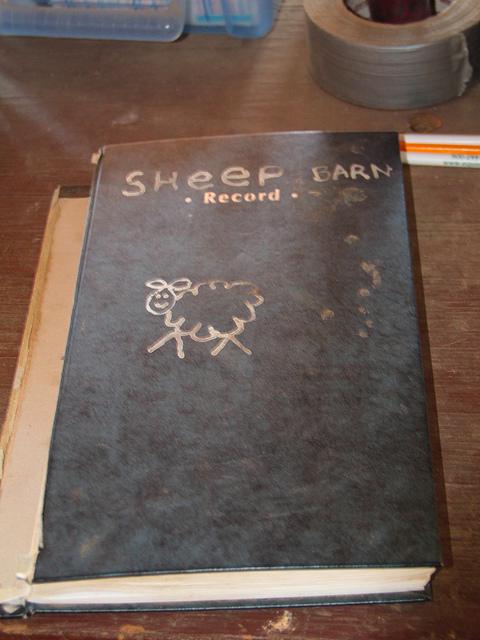 Book Classification Dataset by Fernanda Mendoza