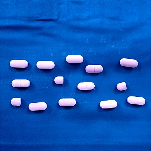 pill-inspection Instance Segmentation Dataset and Pre-Trained Model by tim