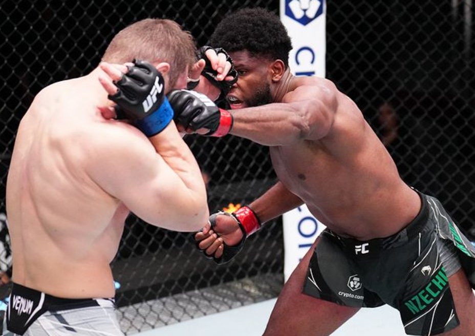 punchandkickdetection Classification Dataset by AppliedMathsForDLProject