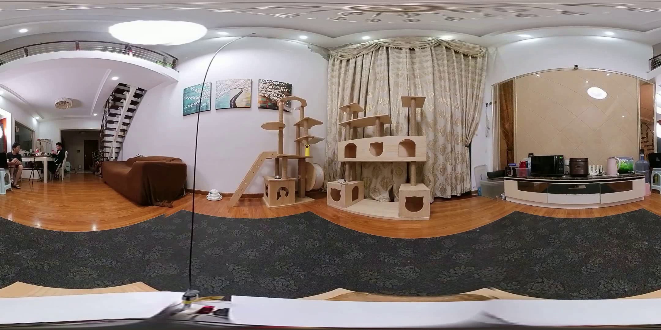 insta360-cat-black-background Object Detection Dataset by sinnammanyo