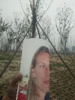 ObjectDetect Object Detection Dataset and Pre-Trained Model by JoaoIssamu