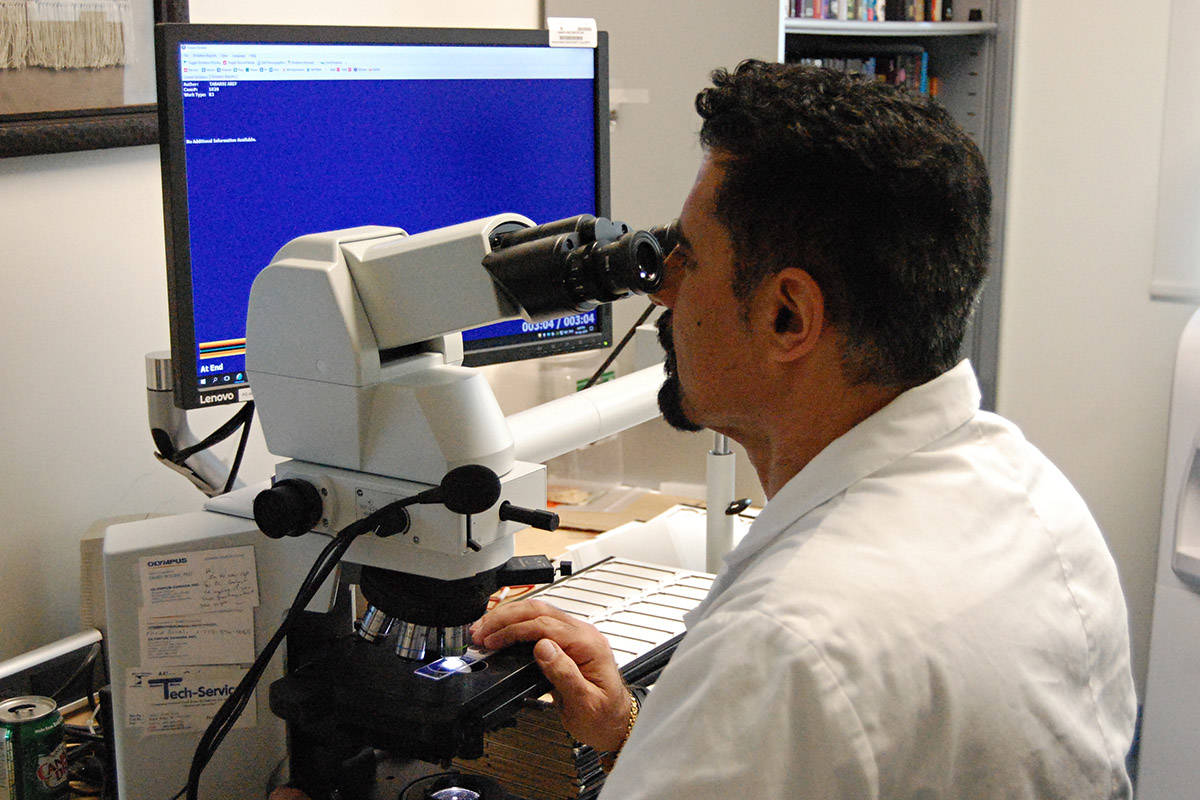 Microscope Object Detection Dataset by Dataset