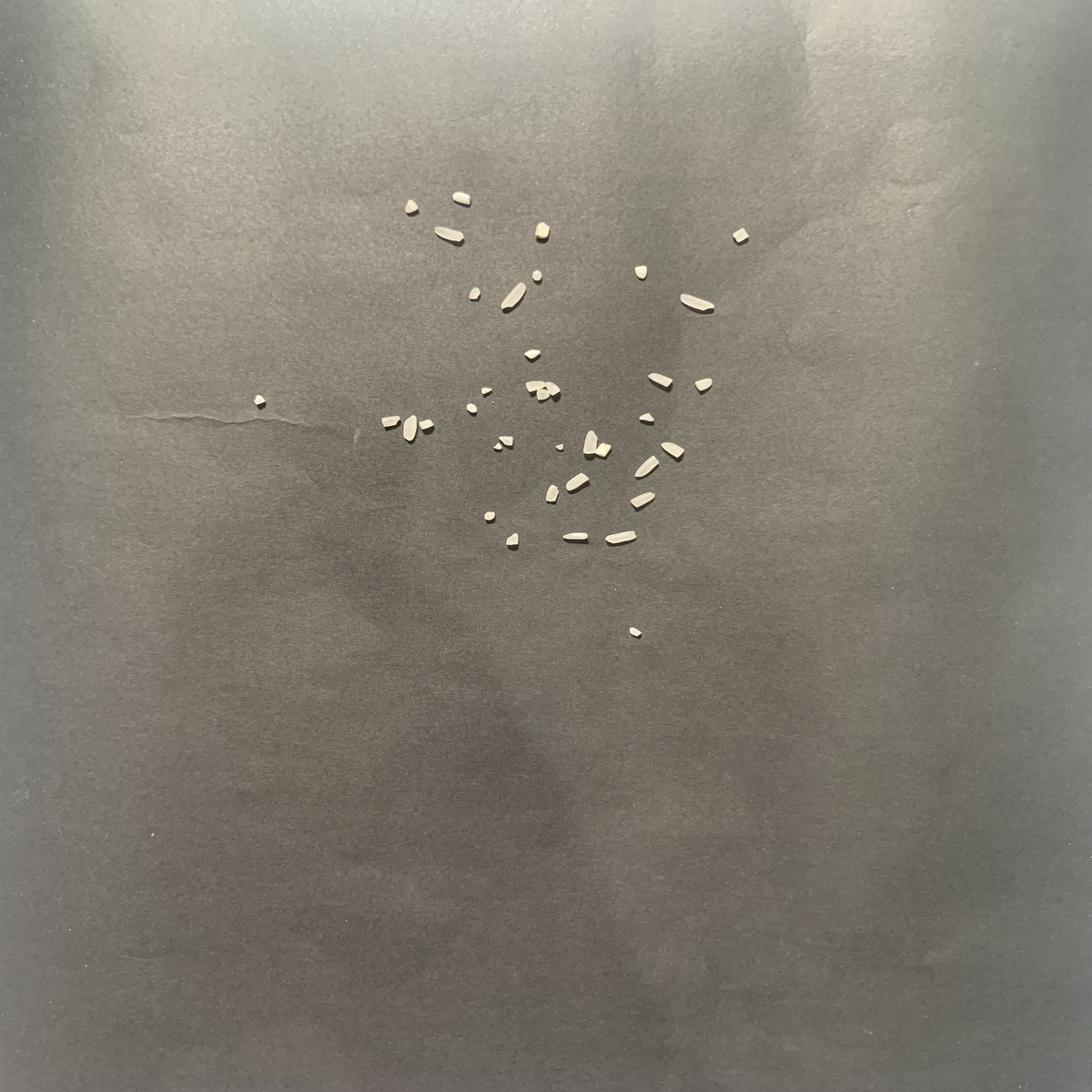 Rice Dataset 2 Object Detection Dataset By Test