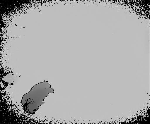 Overhead Photo Kinect Object Detection Dataset By Detection